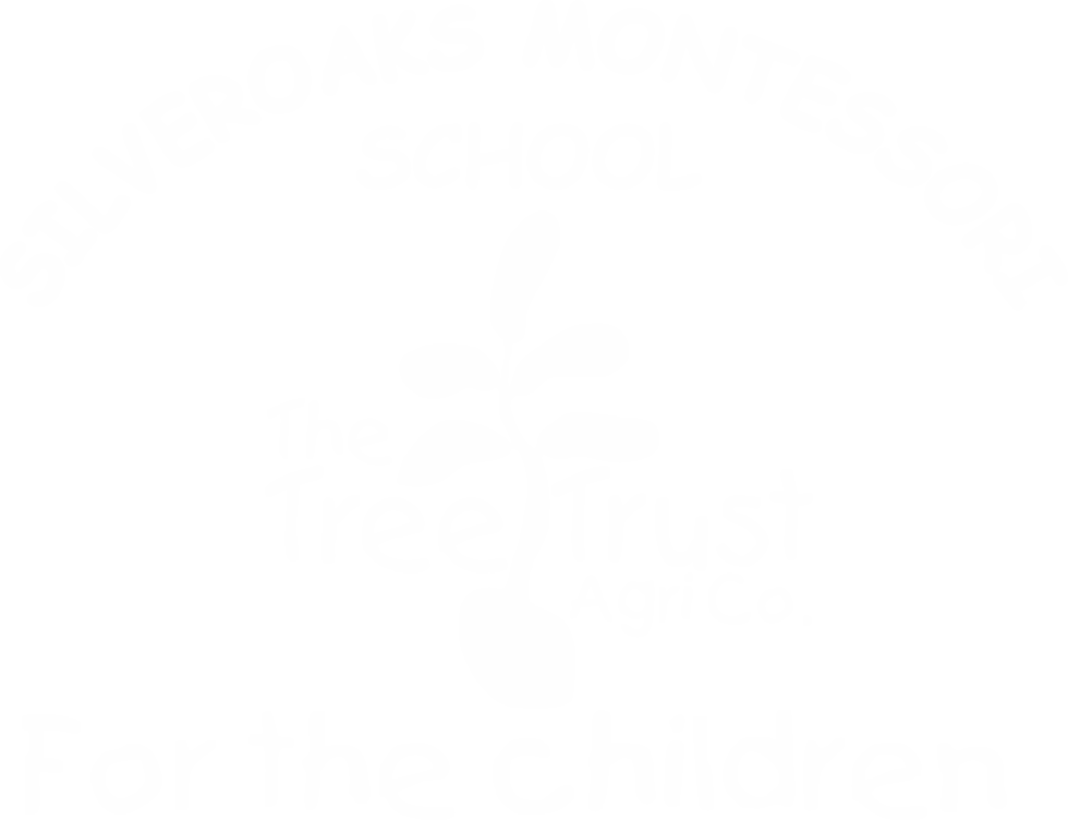 SILVEROAKS MONTESSORI SCHOOL IN HEIDELBERG